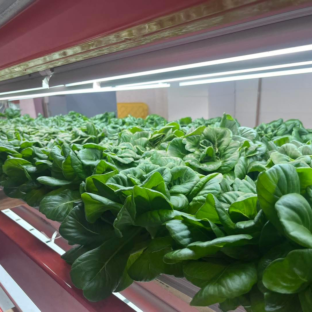 Grow Space Vertical Farms